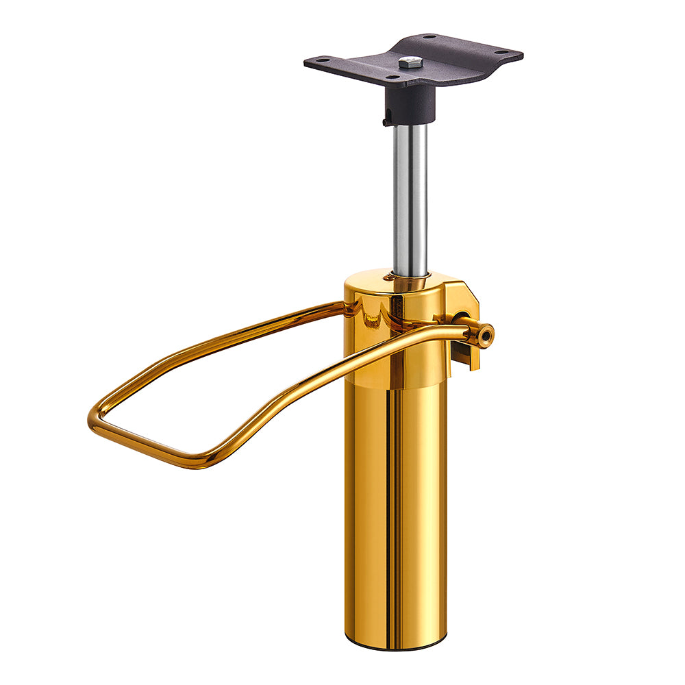 Gold Hydraulic Pump for Salon Chair - DIR